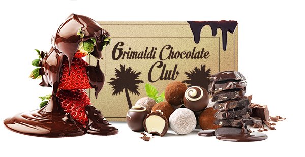 Jose Fremaint | Web Designer